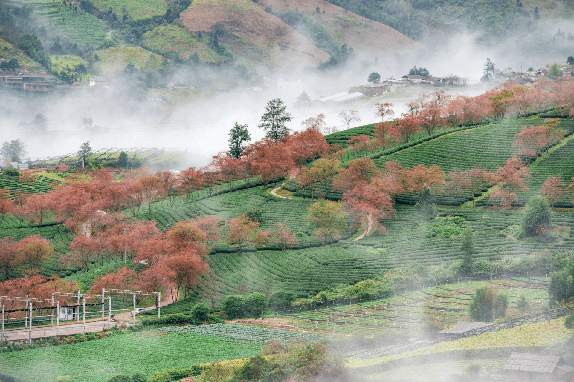 Sapa Guide and Itinerary: Best Things to Do 2024