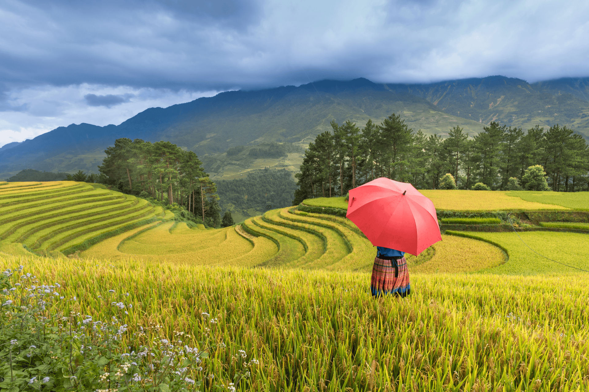 Vietnam Weather by Month: 12-Month Guide for Best Trip